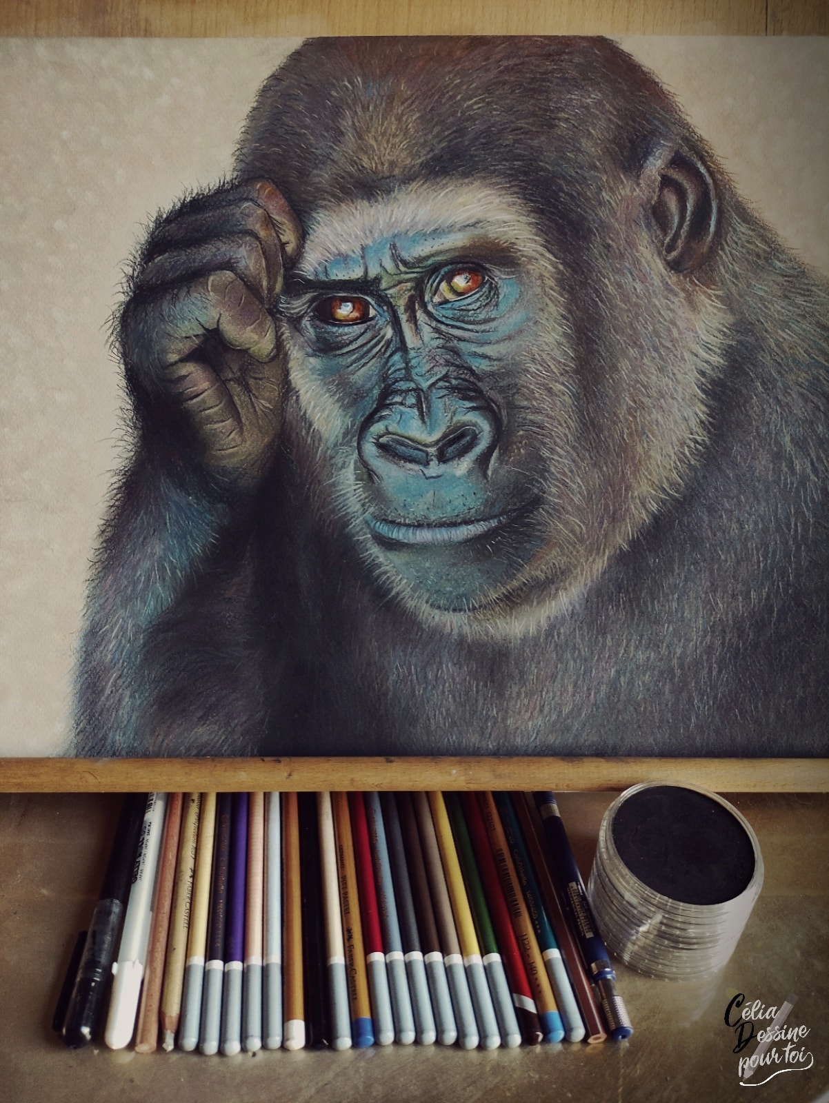 Portraits animaliers - Artiste portraitiste