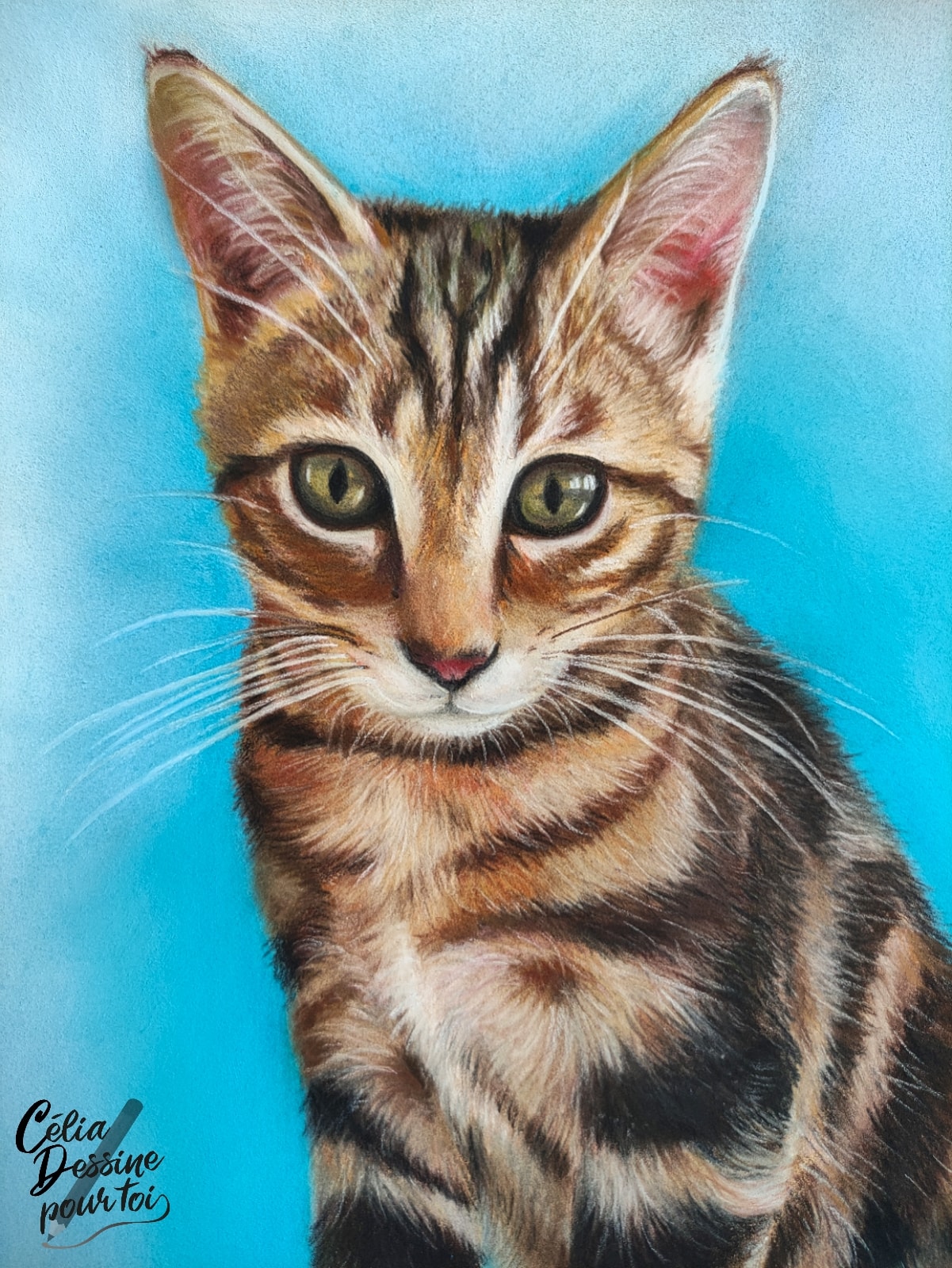 Portraits animaliers - Artiste Portraitiste